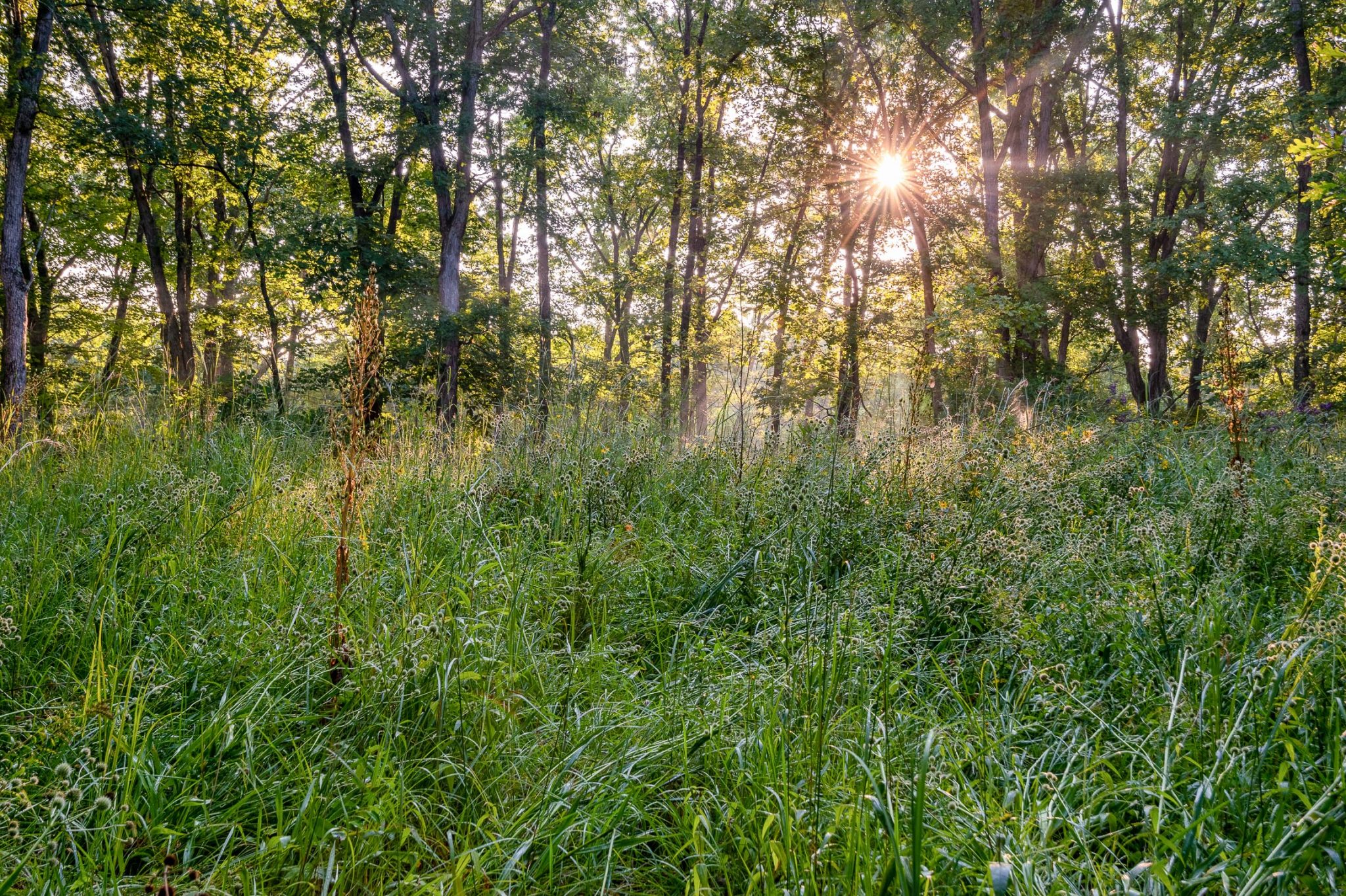 Blog - Kyle M. Brooks